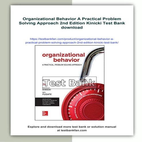 Organizational Behavior A Practical Problem Solving Approach 2nd ...