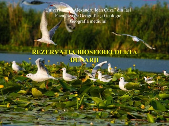 Proiect delta dunarii | PPT