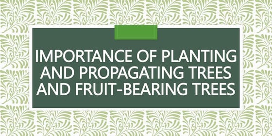 Importance of Planting and Propagating Trees | PPTX | Woodworking ...
