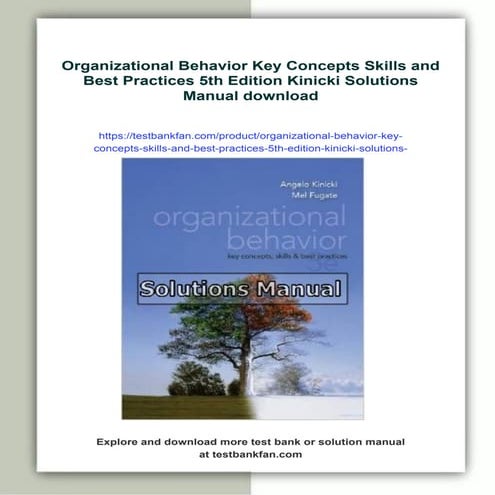 Organizational Behavior Key Concepts Skills and Best Practices 5th ...