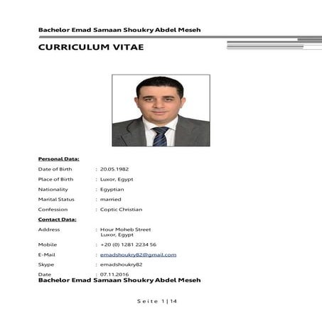 Emad Shoukry C.V 2016 | DOCX