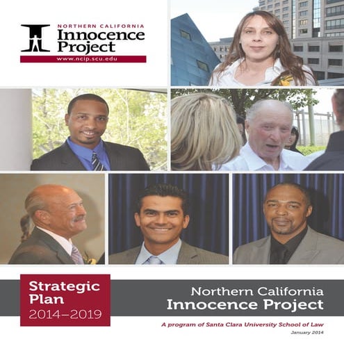 NCIP Strategic Plan 2014-2019 | PDF