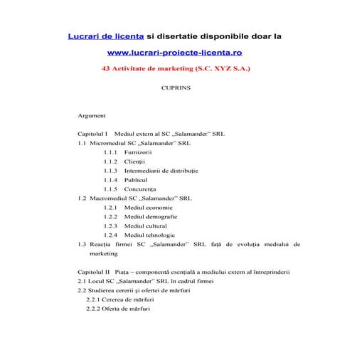 43 activitate de marketing (s.c. xyz s.a.) copy | PDF
