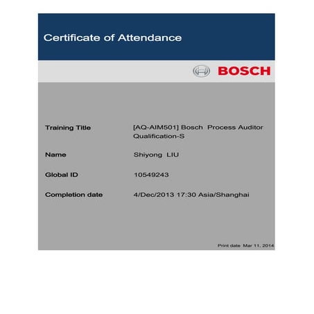 Bosch process auditor | PDF