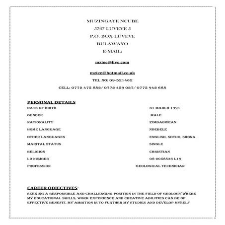 mzi finalL cv | PDF