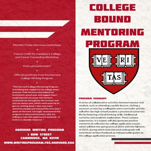 Mentoring Program Flyer | PDF