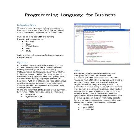 PROOFED - Programming Language for Business | PDF