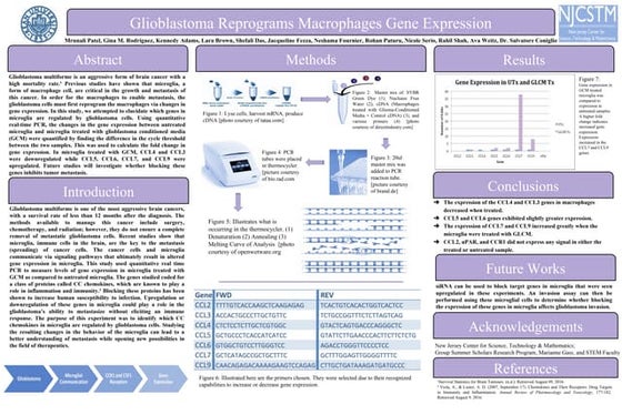 GCPALS - Summer Research Poster Template 1 | PPTX | Brain and Nervous ...