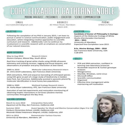 CV- Sylvester J Lee | PDF