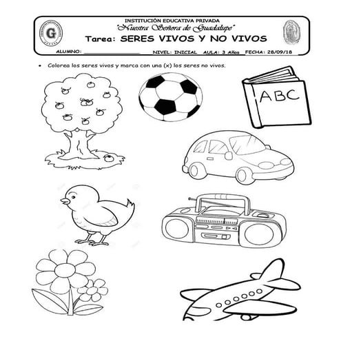 43 tarea seres vivos y no vivos | PDF