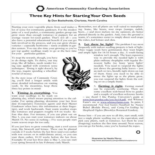 Stop Plants From Growing Tall | PDF