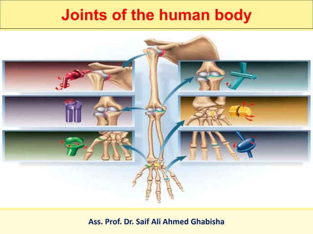 Anatomy of Joints & its classification | PPTX