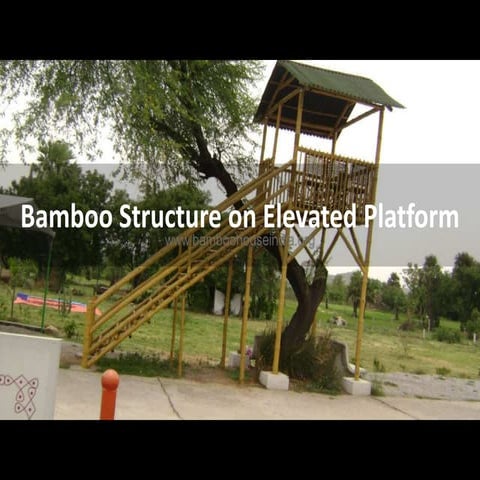 Bamboo Structure on Elevated Platform | PPTX