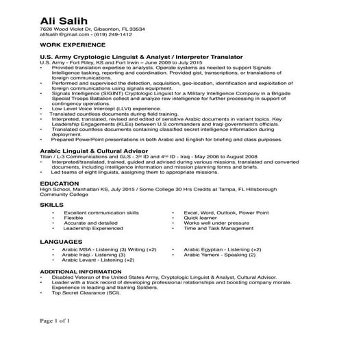 Ali Salih's resume | PDF