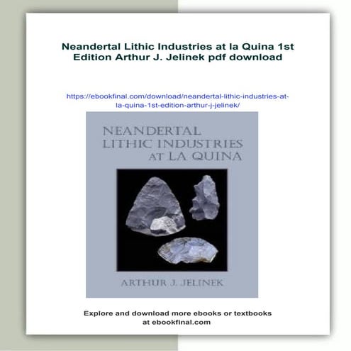Neandertal Lithic Industries at la Quina 1st Edition Arthur J. Jelinek ...