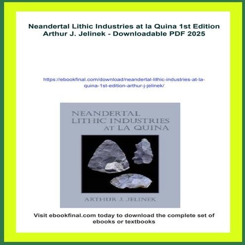 Neandertal Lithic Industries at la Quina 1st Edition Arthur J. Jelinek ...