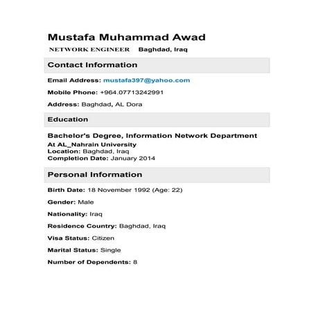 CV Mustafa Muhammed Awad | PDF