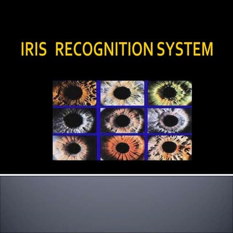 Iris information security recognatio.ppt