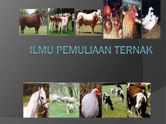 bahan presentasi PPT_Ilmu_Pemuliaan_Ternak.pptx