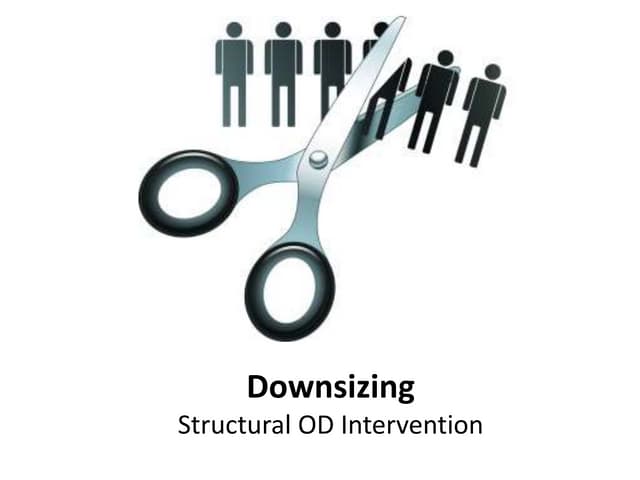 Presentation on Downsizing | PPTX