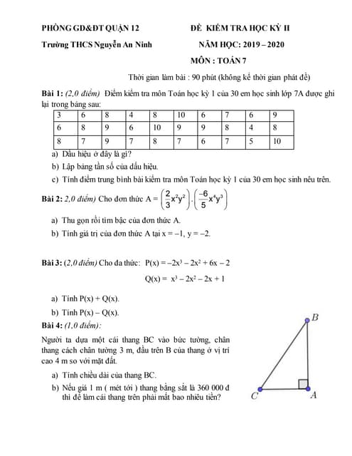 Đề Thi HK2 Toán 7 - THCS Quang Trung | DOCX