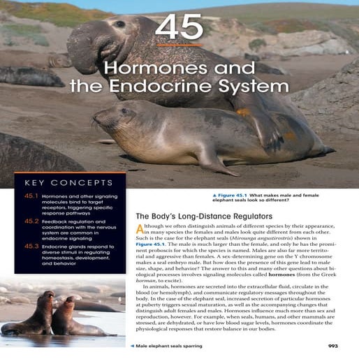 45 hormones and the endocrine system | PDF