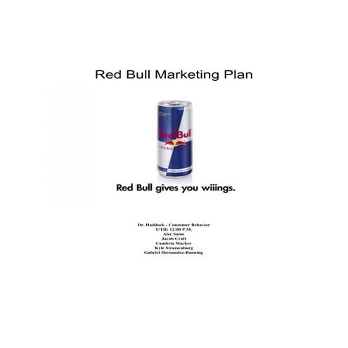 RedBullMarketingPlan | PDF