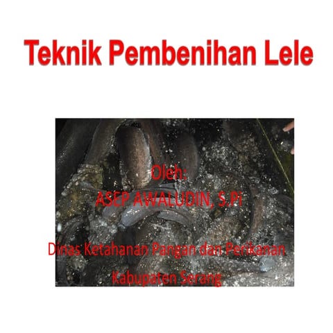 451025380-Pembenihan-Ikan-leleLele-ppt.pdf
