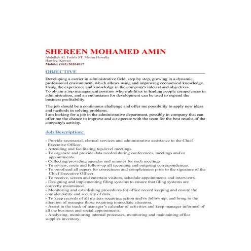 shereen Amin CV 4 | PDF