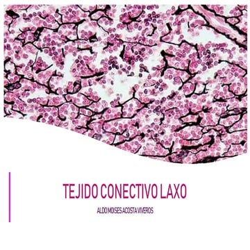 Tejido conectivo denso irregular | Histología | PPTX