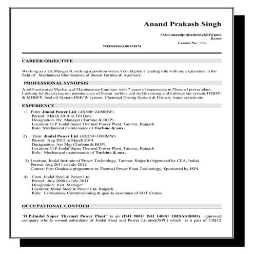 CV_Anand | DOC | Business | Business and Finance