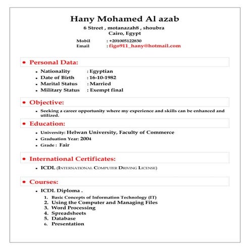 Hany mohamed Cv | DOC