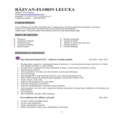 CV_Razvan_Leucea.PDF