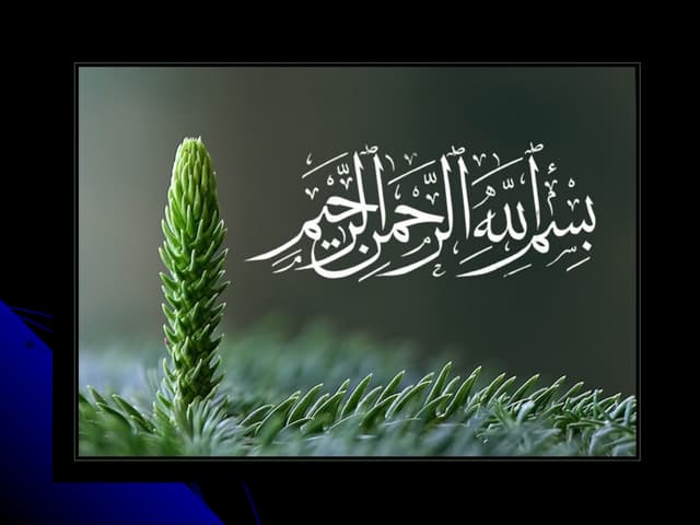 Organization structure of Gsk | PPTX