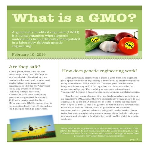 what is a GMO_ | PDF