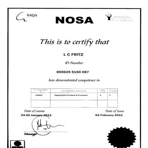 APPLYING SHE PRINCIPLES AND PROCEDURES | PDF