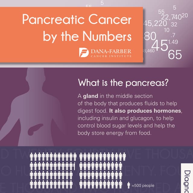 Infographic: Pancreatic Cancer by the Numbers | PDF | Endocrine and ...