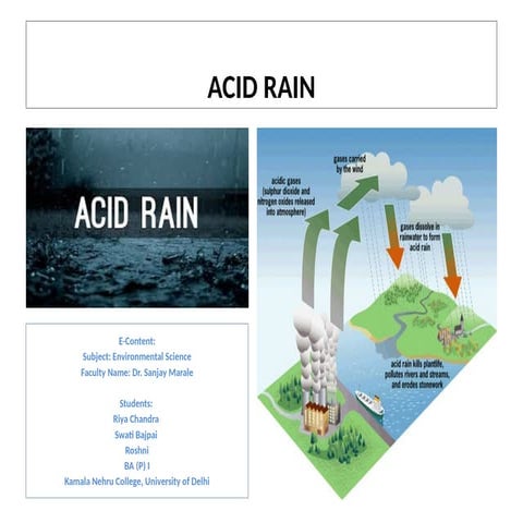 acid rain | PPT