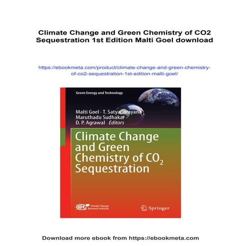 Climate Change and Green Chemistry of CO2 Sequestration 1st Edition ...