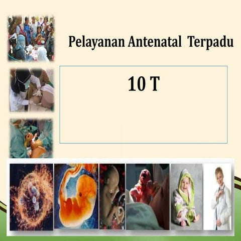 Tatalaksana Pemberian Terapi Pencegahan TPT TB. Pdf | PDF
