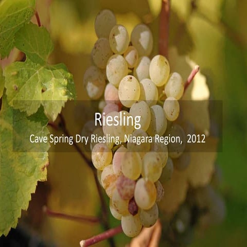 Riesling | PPTX