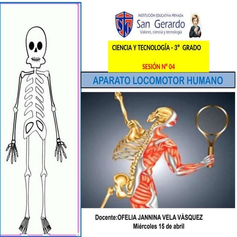 457687267-DIAPOSITIVA-aparato-locomotor-humano-3ro-pptx.pptx