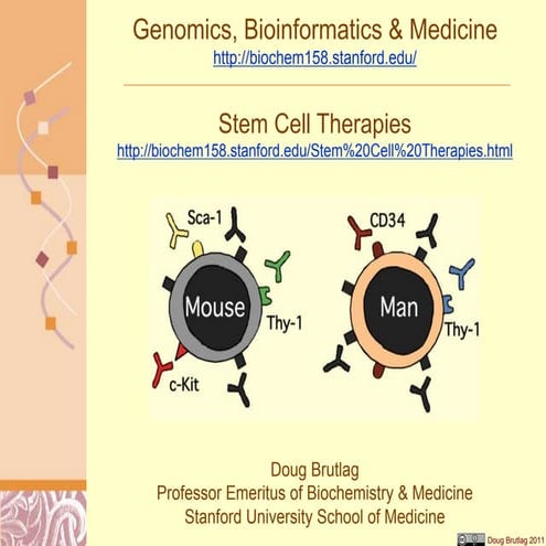 Stem Cell therapy.ppt