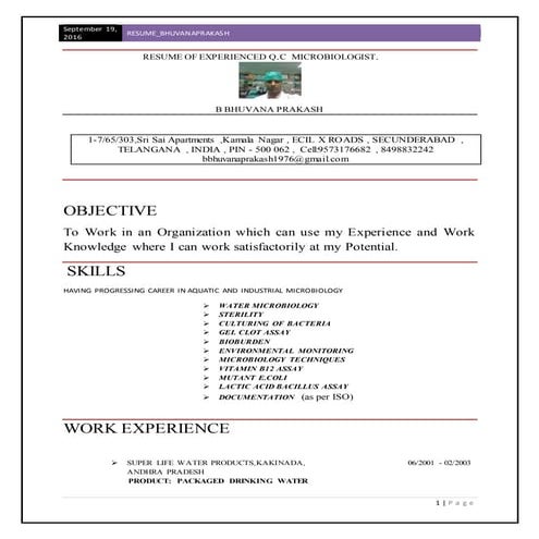 Modified Resume | DOCX