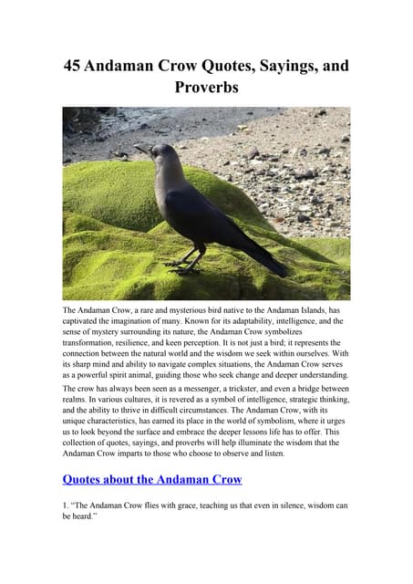 30 Violet Crow Quotes, Sayings, and Proverbs.docx