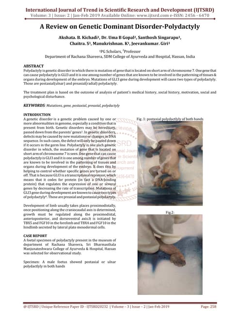 Axes and pattern formation in Chick.pptx