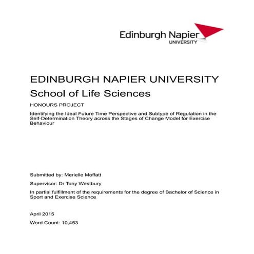 Honours Project | PDF