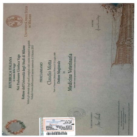 Scan Motta (2) | PDF