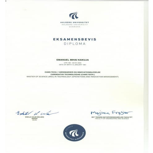 Master_diploma _Emanuel Mihai Kakuja | PDF