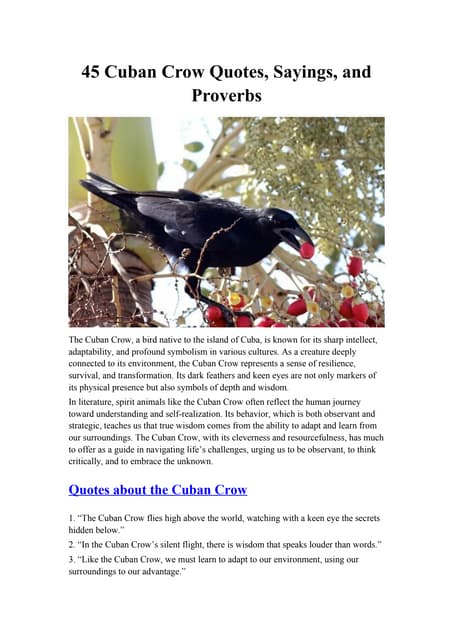 42 Rook Quotes, Sayings, and Proverbs.docx